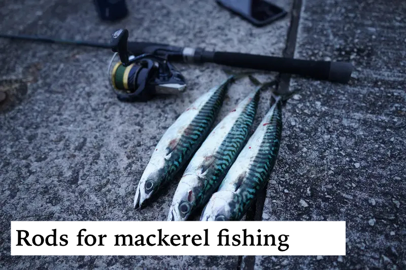 FISHMAG | Lure Fishing Guides & Tackle Advice for UK Anglers